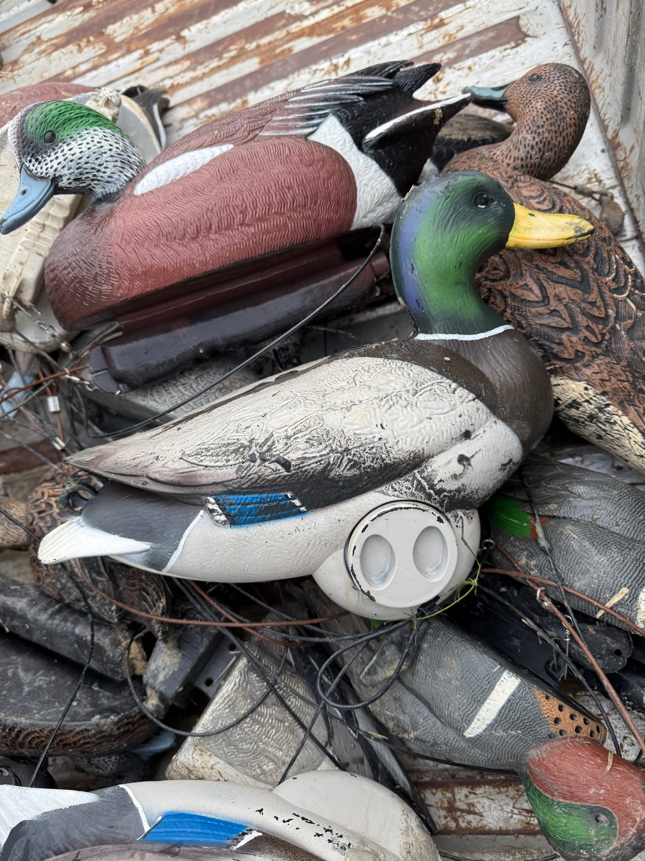 Best Motion Duck Hunting Decoys for Sale – Jahpoo